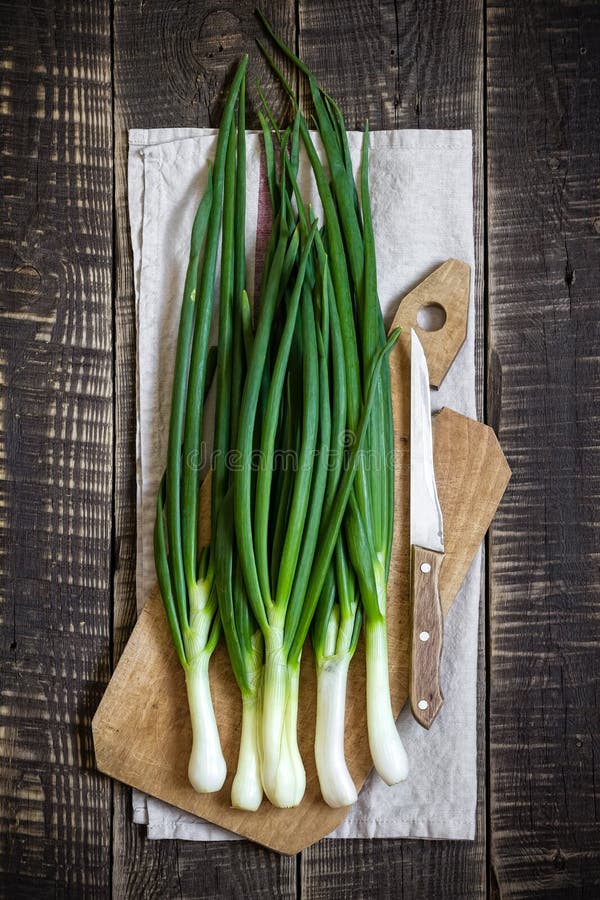 Spring onion stock photo. Image of natural, group, garden - 40748854