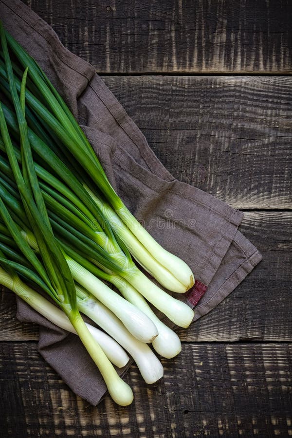 Spring onion stock image. Image of vegetable, organic - 40748867