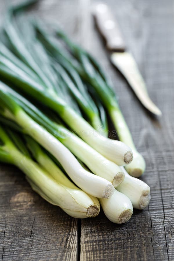 Spring onion stock photo. Image of stem, fresh, plant - 40749034