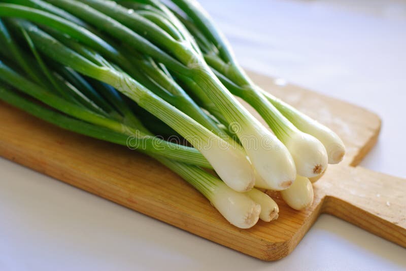 Spring onions stock image. Image of groceries, organic - 15190829