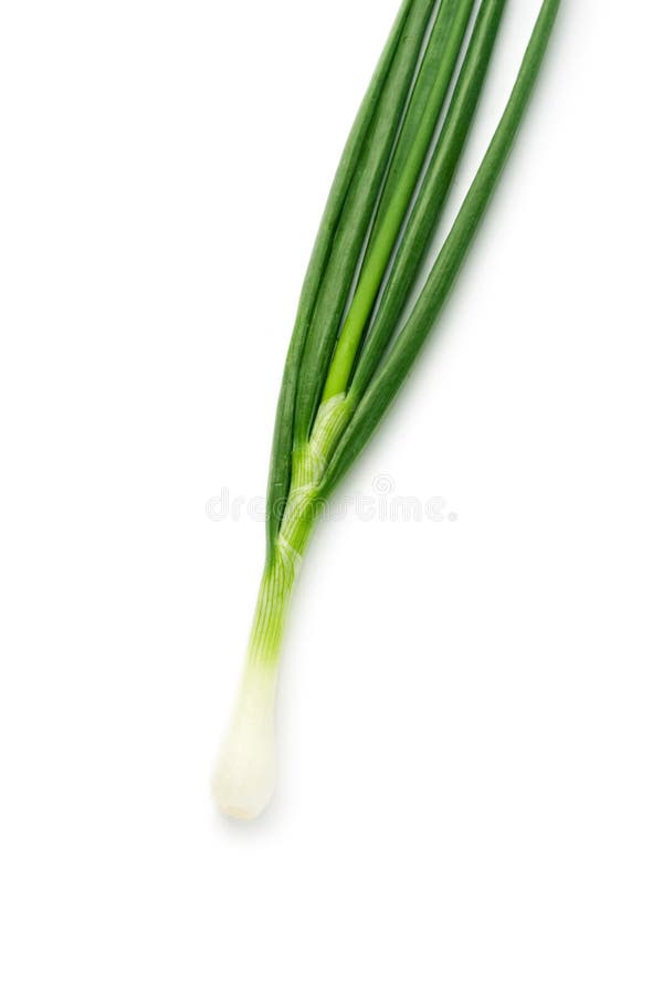 Spring onions stock image. Image of fresh, diet, ingredient - 16838723