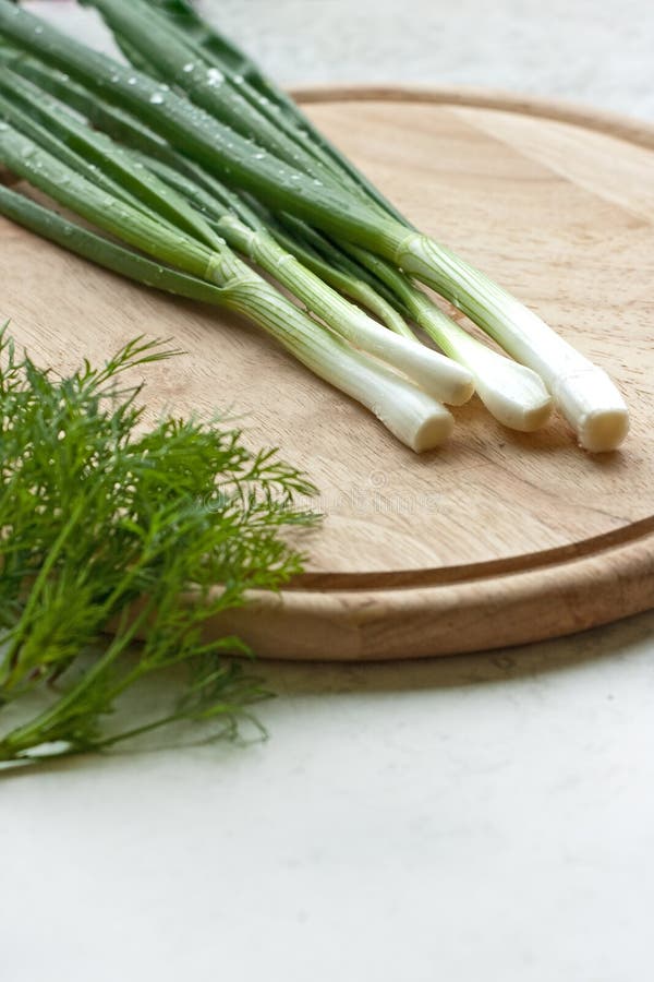 Spring onions stock photo. Image of agriculture, organic - 19602022