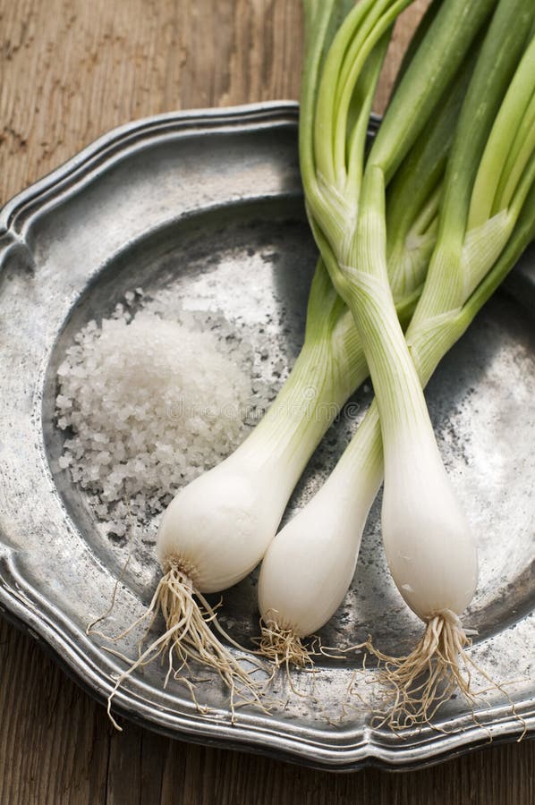 Spring onions stock photo. Image of full, vegetarian - 22528770