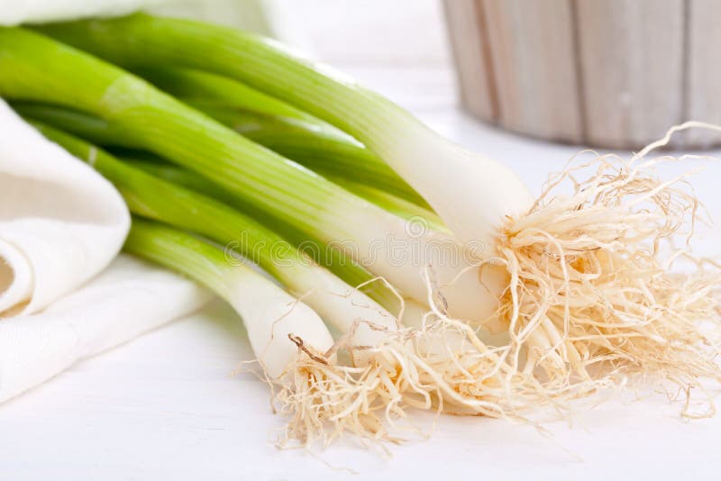 Spring onions stock photo. Image of white, fresh, garnish - 26091218