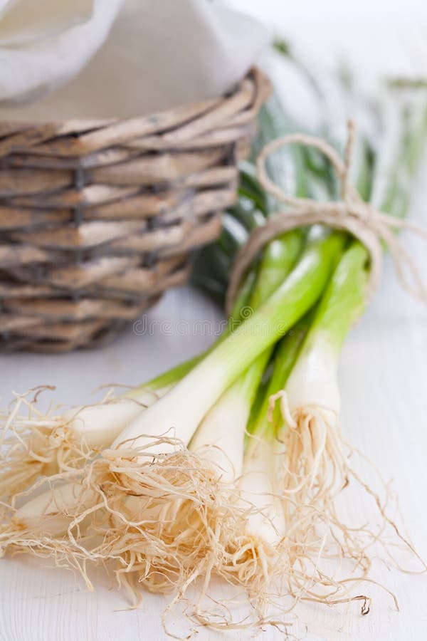 Spring onions stock image. Image of onions, basket, culinary - 26731411