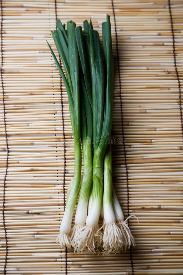 Spring onions stock image. Image of cooking, onions, organic - 4325137