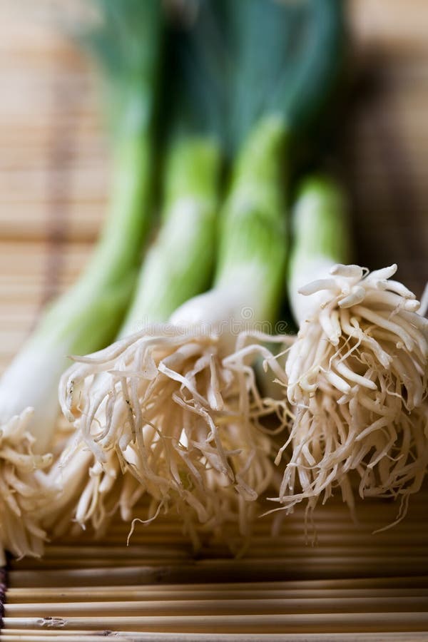 Spring onions stock photo. Image of garnish, food, vegetable - 4325258