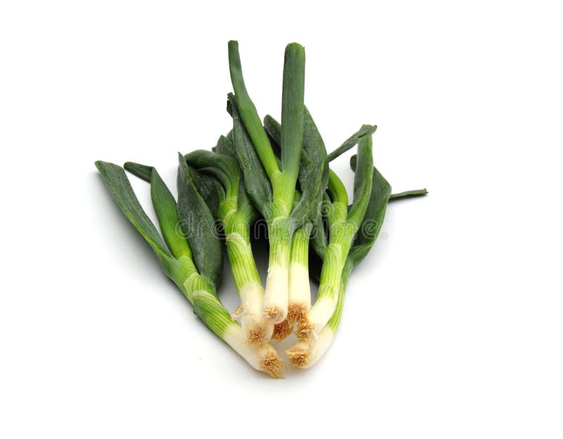 Spring onions stock photo. Image of spring, healthy, pungent - 7274382