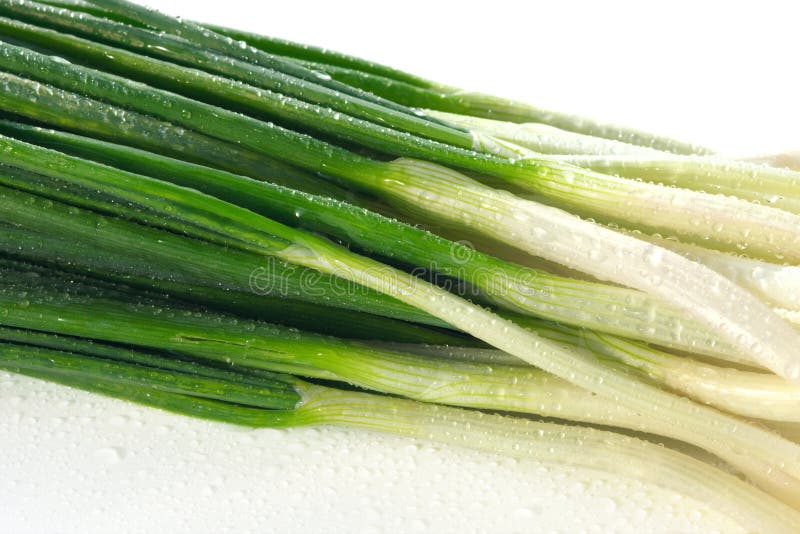 Spring onions stock photo. Image of healthy, spring, bundle - 9226116