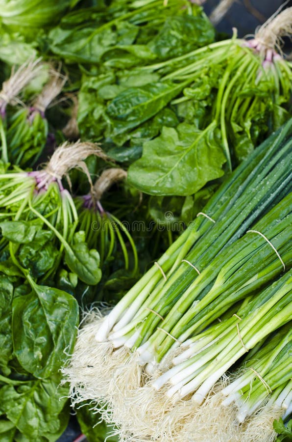 Spring Onions and Asian Greens Stock Image - Image of delicious ...