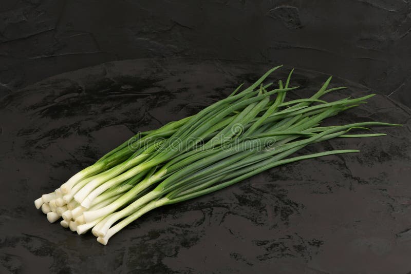 Spring Onions on Black Abstract Background. High Resolution Photo Stock ...