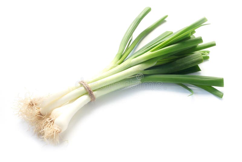 Spring Onions stock photo. Image of bunch, green, ingredients - 165629946