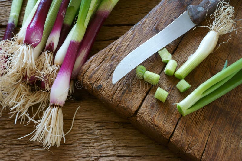Red spring onions stock photo. Image of cutting, vegetable - 58600132