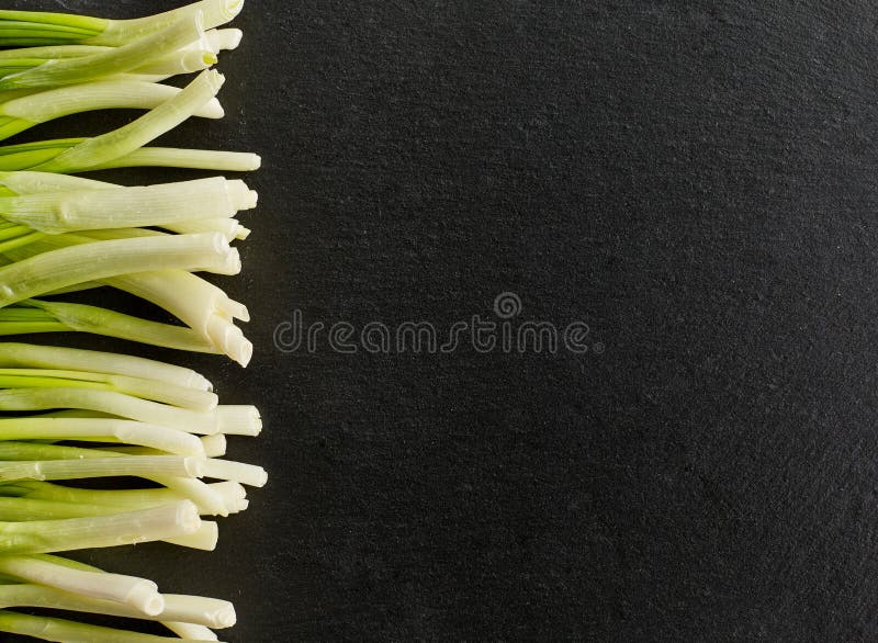 Spring Onions on Dark Board Stock Photo - Image of view, healthy: 51490286