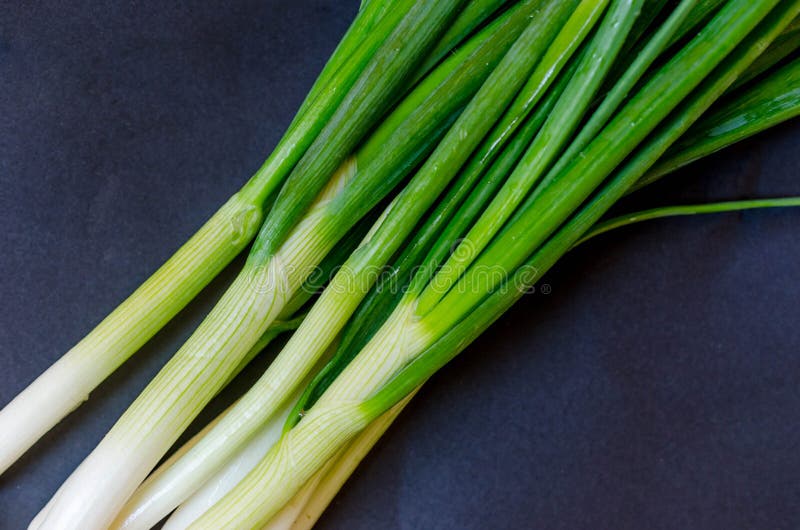 Spring onions stock photo. Image of black, healthy, scallion - 113381170