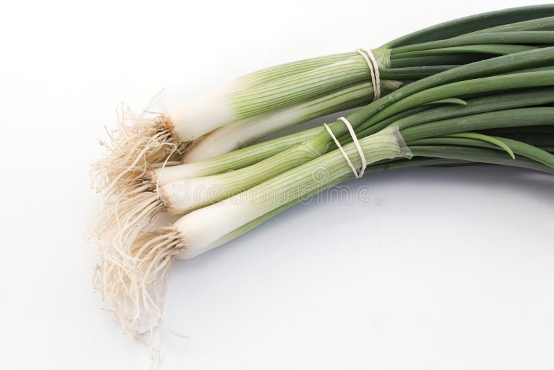 Spring Onions Isolated on White Stock Photo - Image of vegetables ...