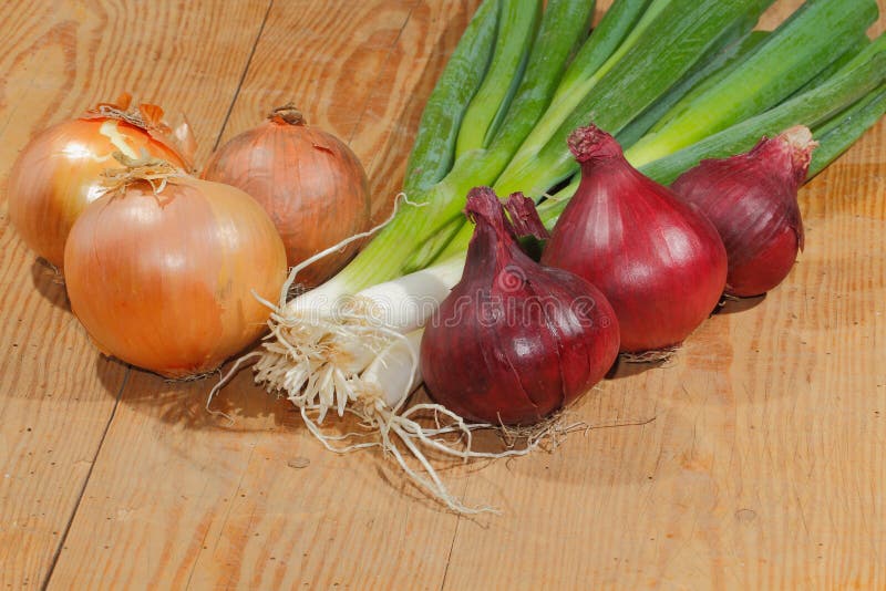 Spring Onions, Onions, Vegetables Stock Image - Image of closeup, bunch ...