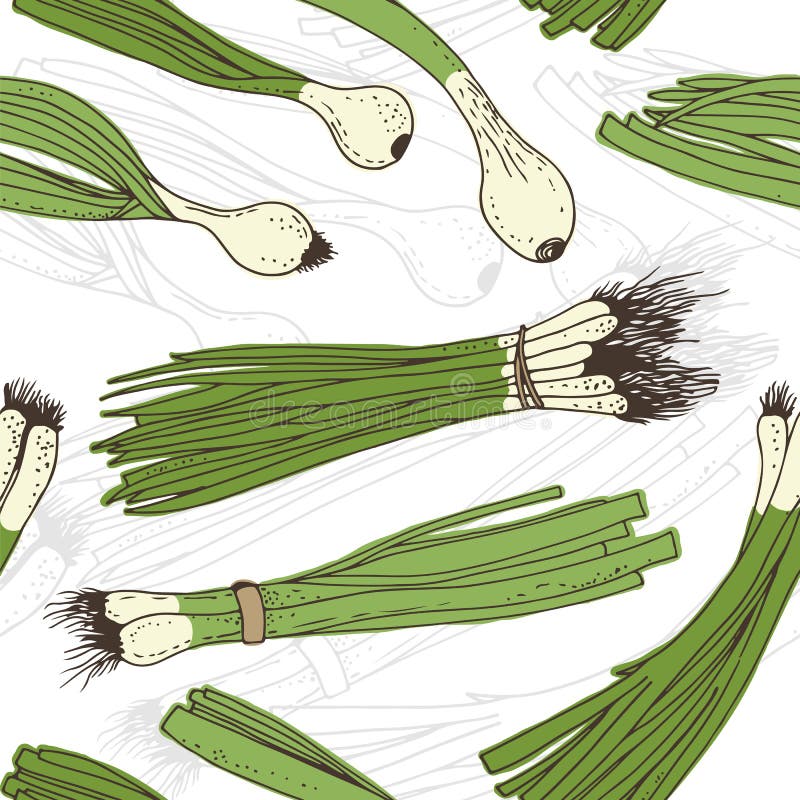 Onions Pattern Stock Illustrations – 1,345 Onions Pattern Stock ...