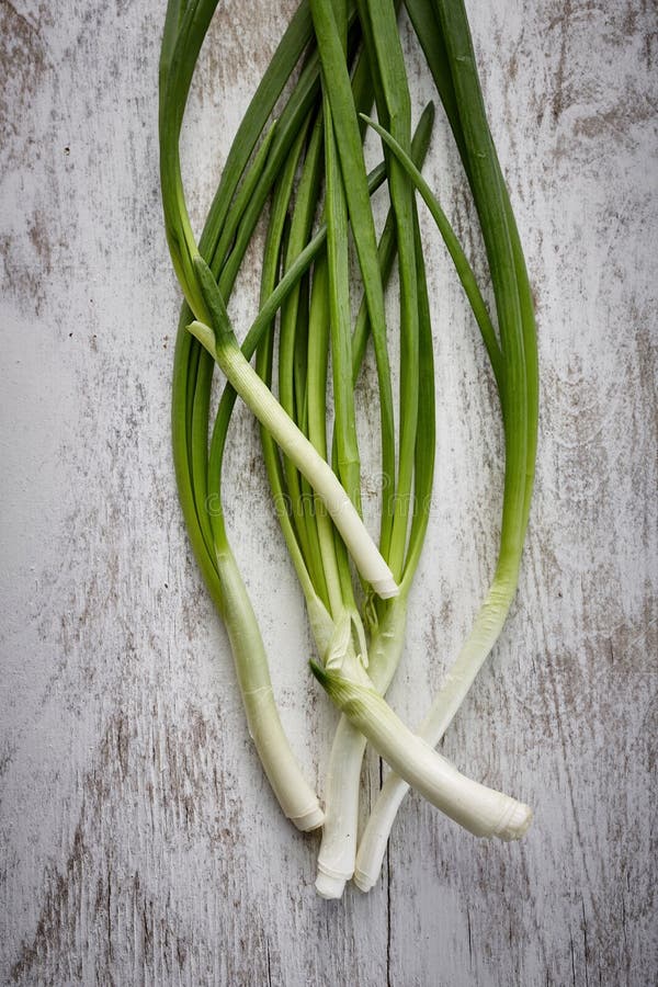 Spring Onions on Rustic Wood Stock Image - Image of wood, white: 78619703