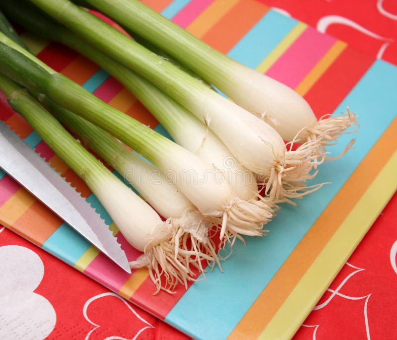 Spring onions stock photo. Image of snack, vegan, onions - 94098532