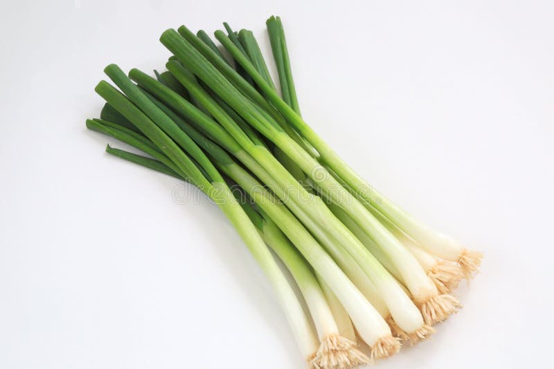 Spring onions stock photo. Image of fall, salad, onion - 50751174