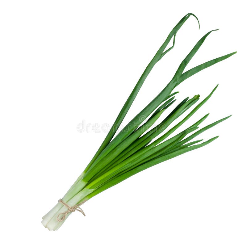 Spring Onions on White Background Stock Photo - Image of bunch ...