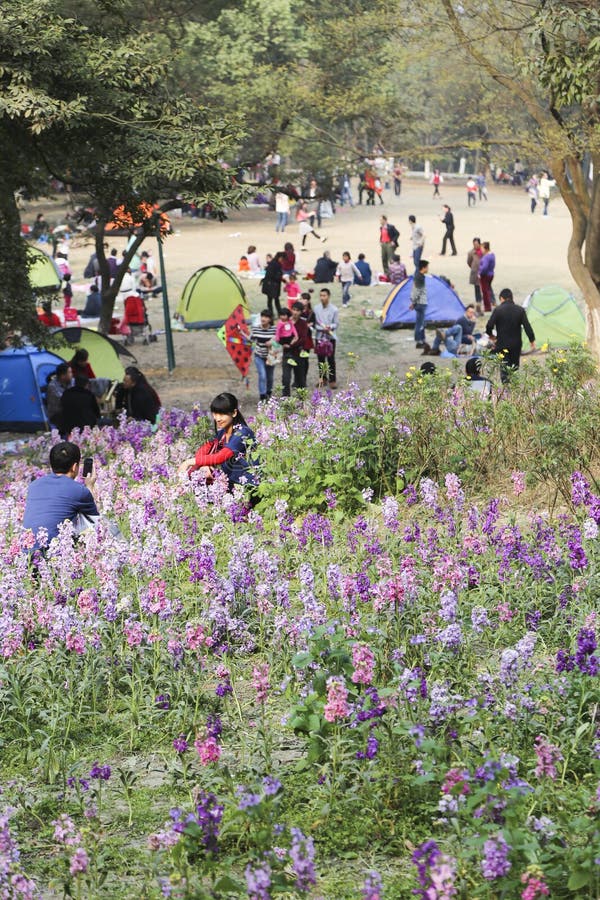Spring Outing in the Park,chengdu,china Editorial Image - Image of ...
