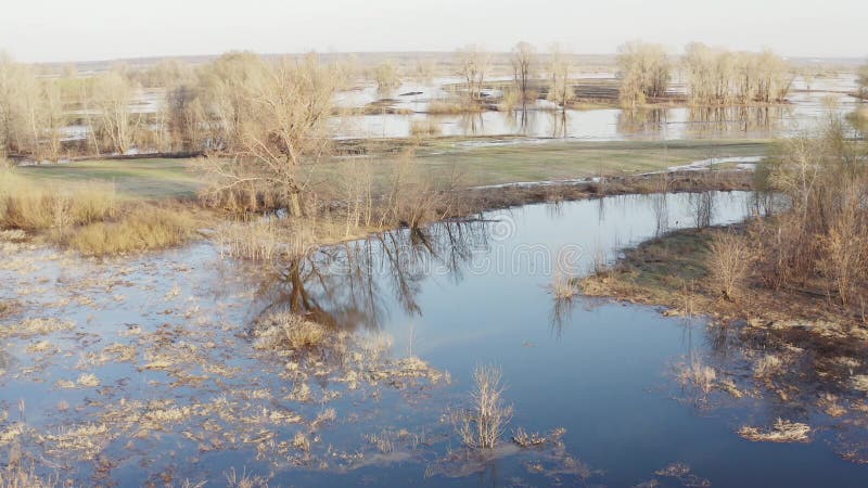 Spring overflow landscape stock video. Video of nature - 160473967