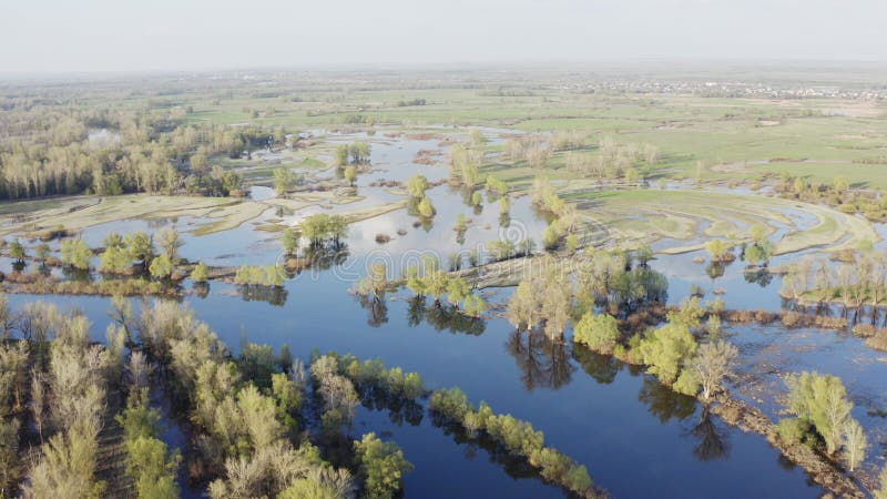 Spring overflow landscape stock footage. Video of nature - 214632584
