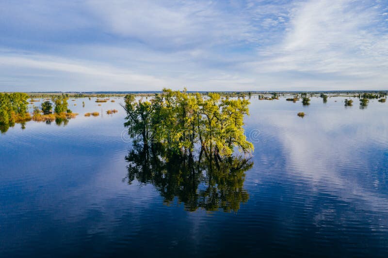 Spring overflow landscape stock image. Image of landscape - 207045309