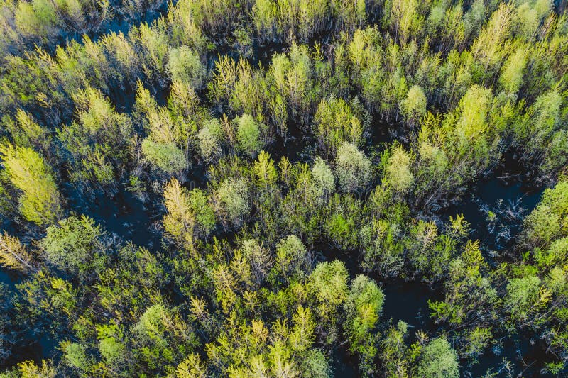 Spring overflow landscape stock image. Image of river - 176912733
