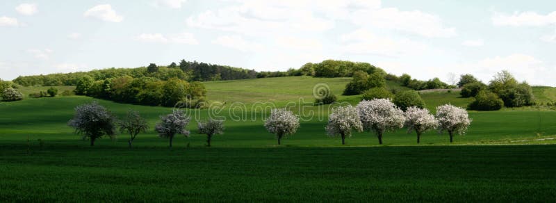 Spring Panorama with Woman Sitting Outdoors Stock Photo - Image of ...