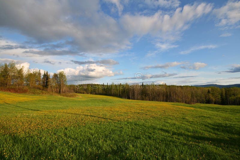 Spring Paradise stock photo. Image of evening, fairy, scene - 5655766