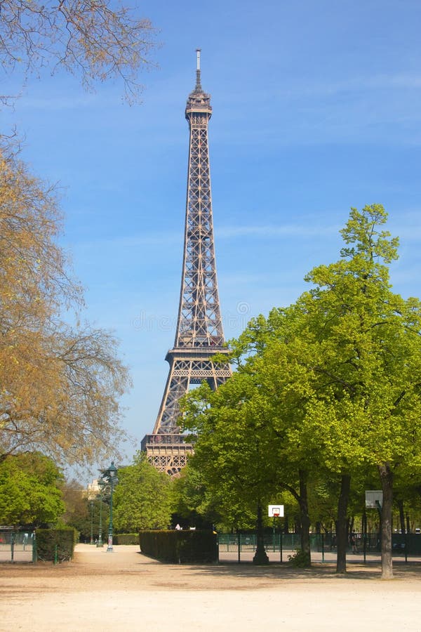 Spring in Paris. Eiffel Tower Stock Image - Image of tree, grass: 147141251