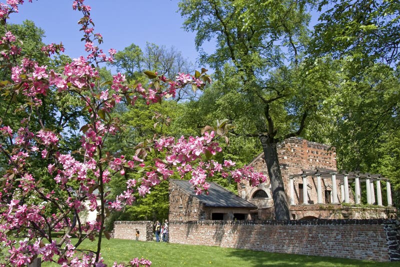 Spring park stock photo. Image of colored, botanical - 11437934