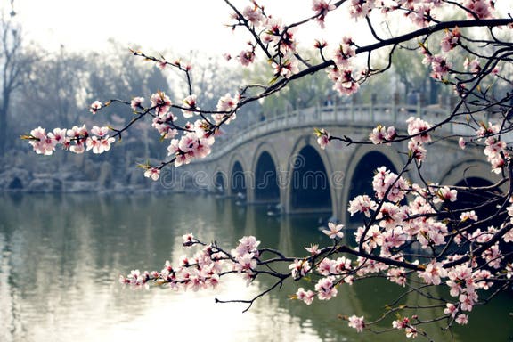 Spring park stock photo. Image of early, spring, bridge - 13787396