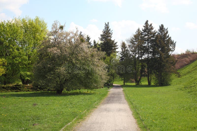 Spring in the park stock photo. Image of spring, forest - 19304966