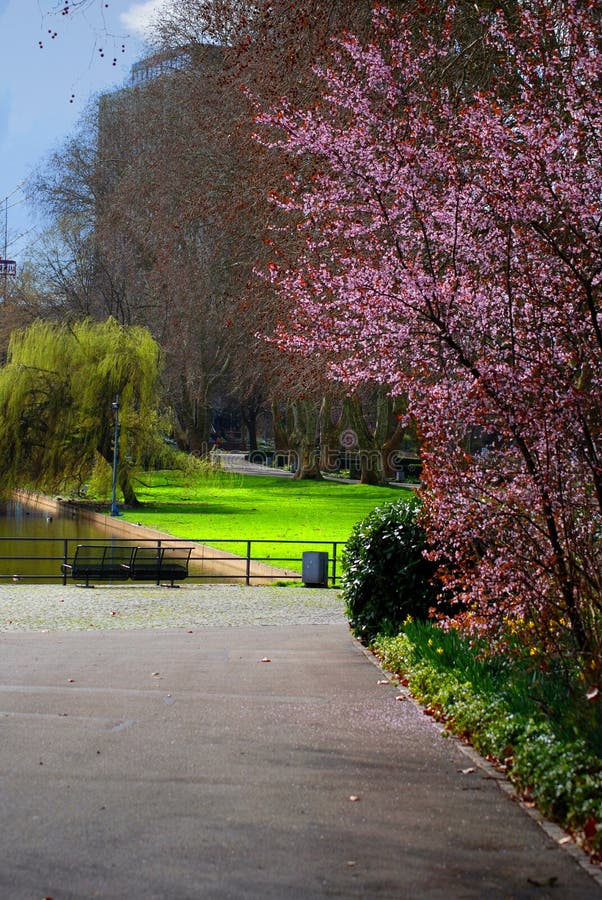 Spring in Park stock photo. Image of beautyful, color - 2076946