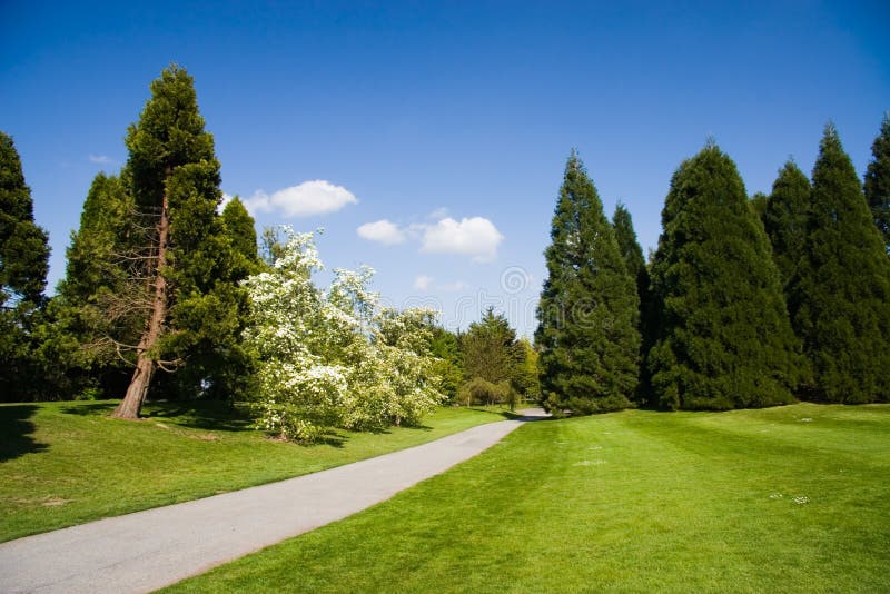 Spring Park stock image. Image of nature, scenics, footpath - 2447515
