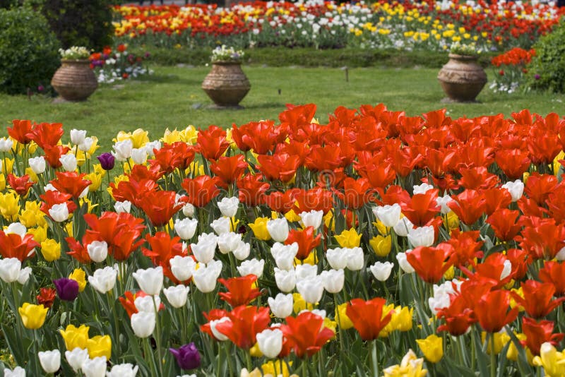 Spring in the park stock image. Image of nature, flourish - 4311657