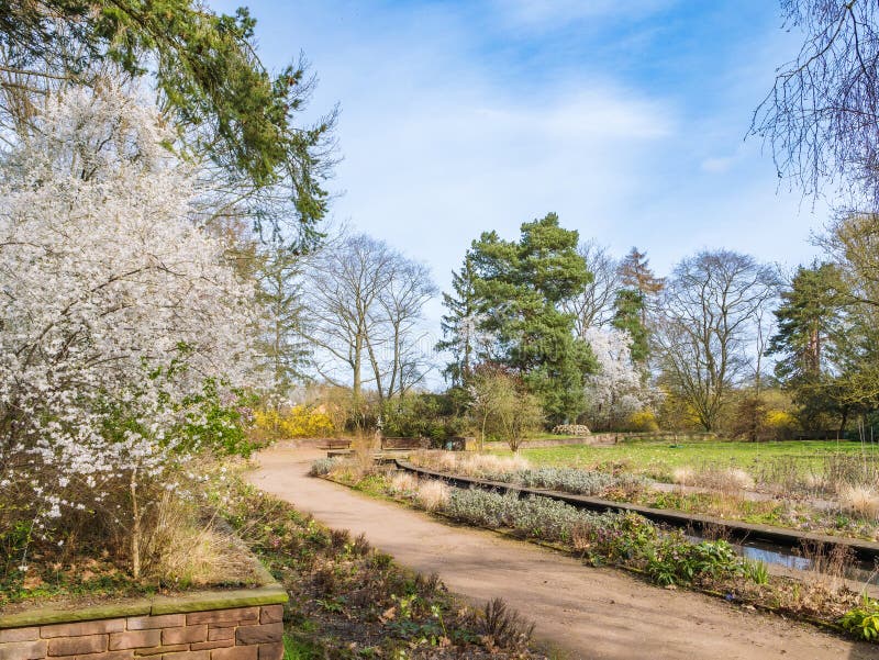 Spring Park with Blooming Fruit Trees . Resting Place in Braunschweig ...