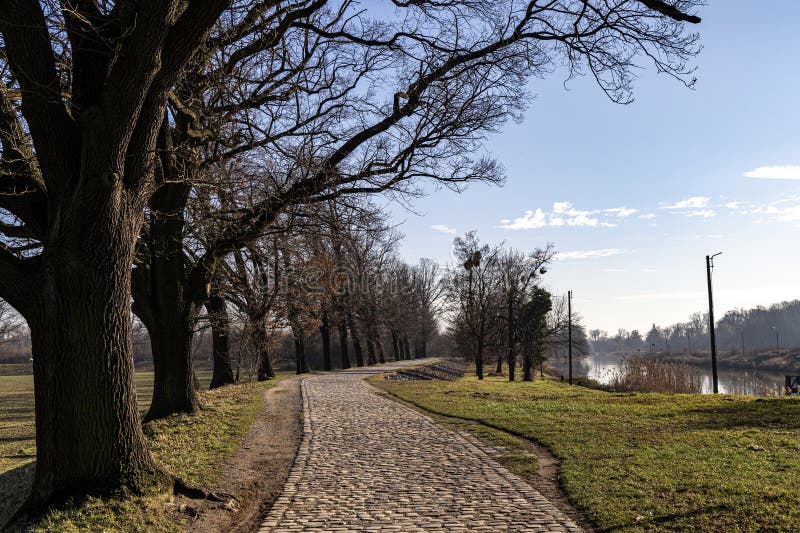 Spring Park Cobblestone Path River Trees Leaves Landscape Poland Stock ...