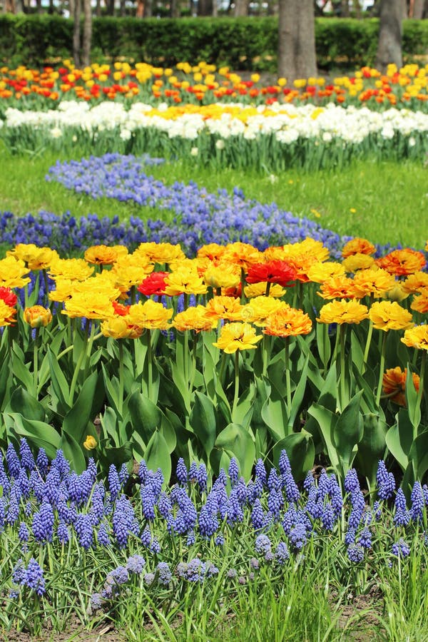 Spring park stock photo. Image of green, summer, ecology - 30713418