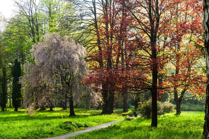Spring in park stock photo. Image of beauty, land, horizontal - 54463940