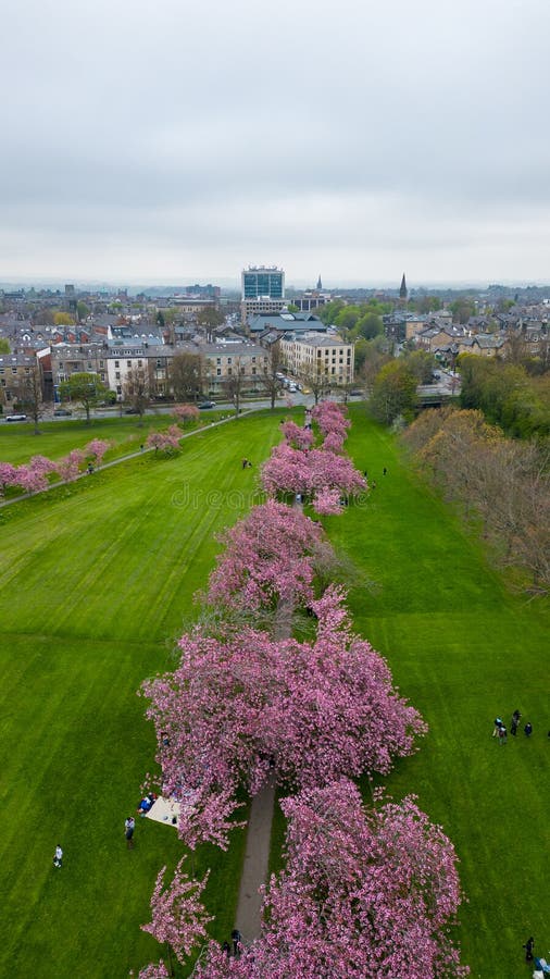 Spring in the Park in Harrogate Taken with a Drone Stock Photo - Image ...