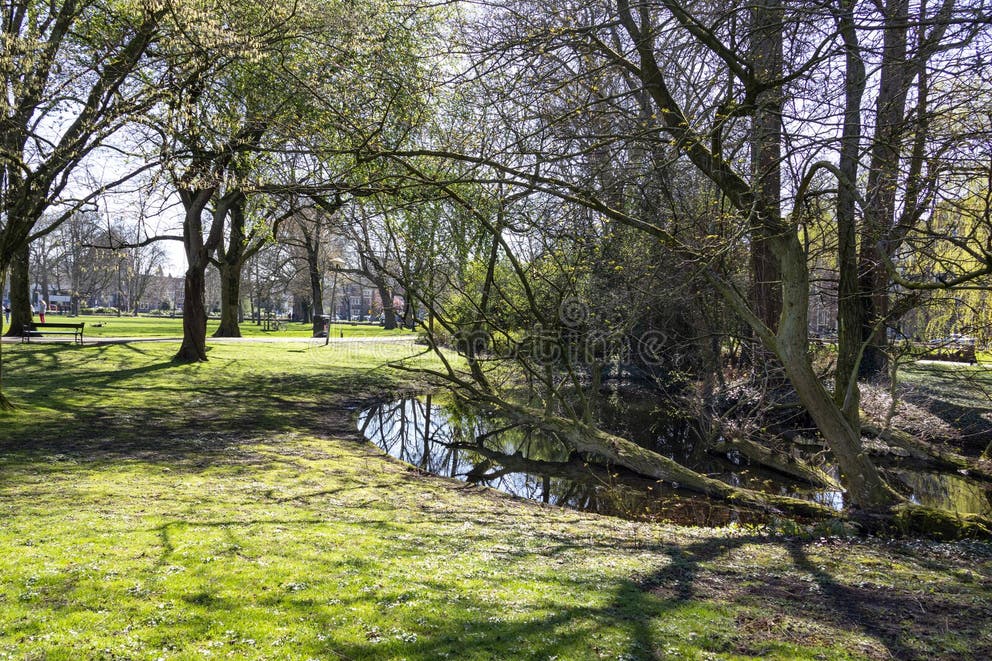 Spring park landscape stock photo. Image of grows, landscape - 276009926