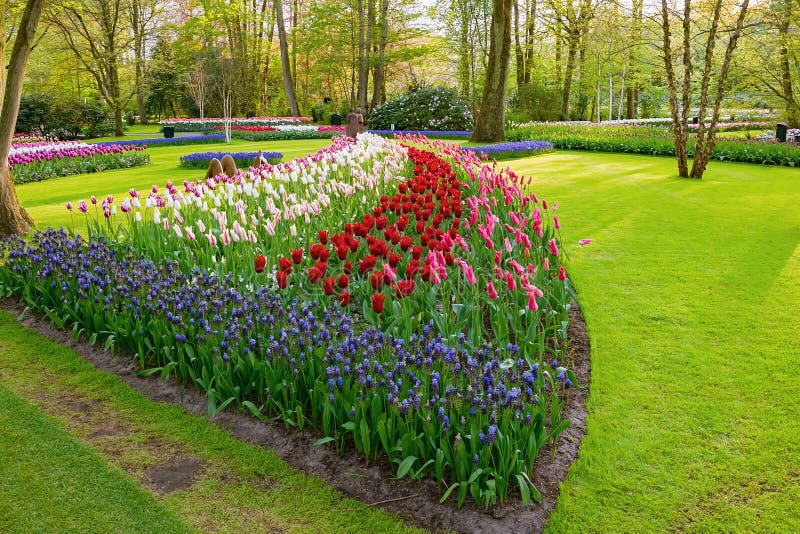 Spring in the park stock image. Image of spring, gardening - 174715565