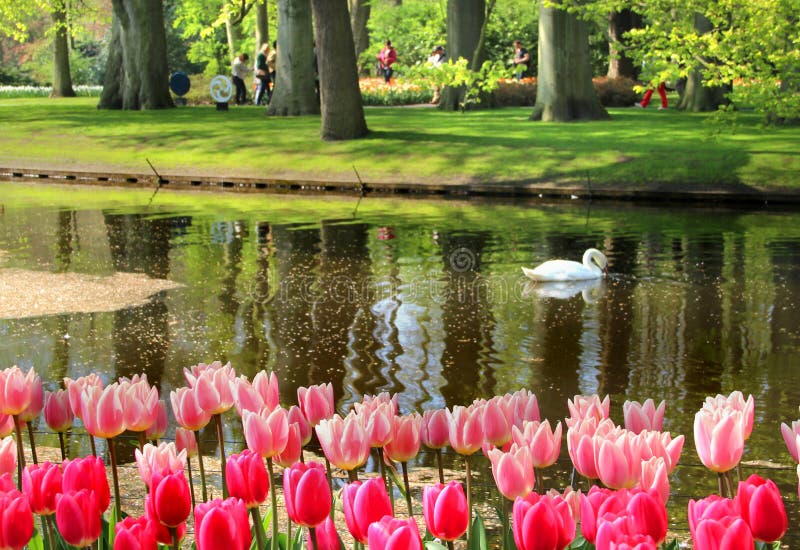 Spring Park with a Lot of Flowers Stock Image - Image of aesthetic ...