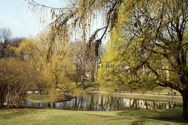 Spring in Oslo stock image. Image of flowers, oslo, spring - 114919825