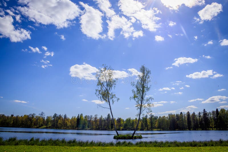 Spring Park in Sunny Weather. Sunny Park. Green Park. Young Greens ...